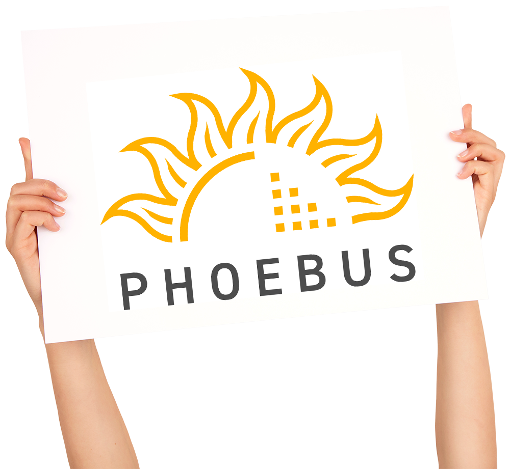 Phoebus Solution - Seamless Software Solutions - Netcall