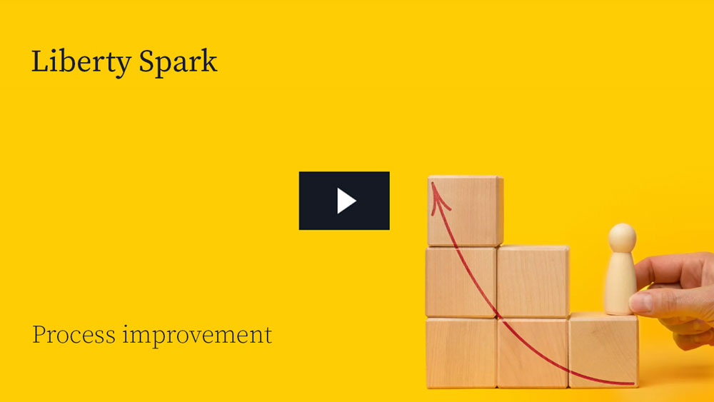 Process Mapping Software - Netcall