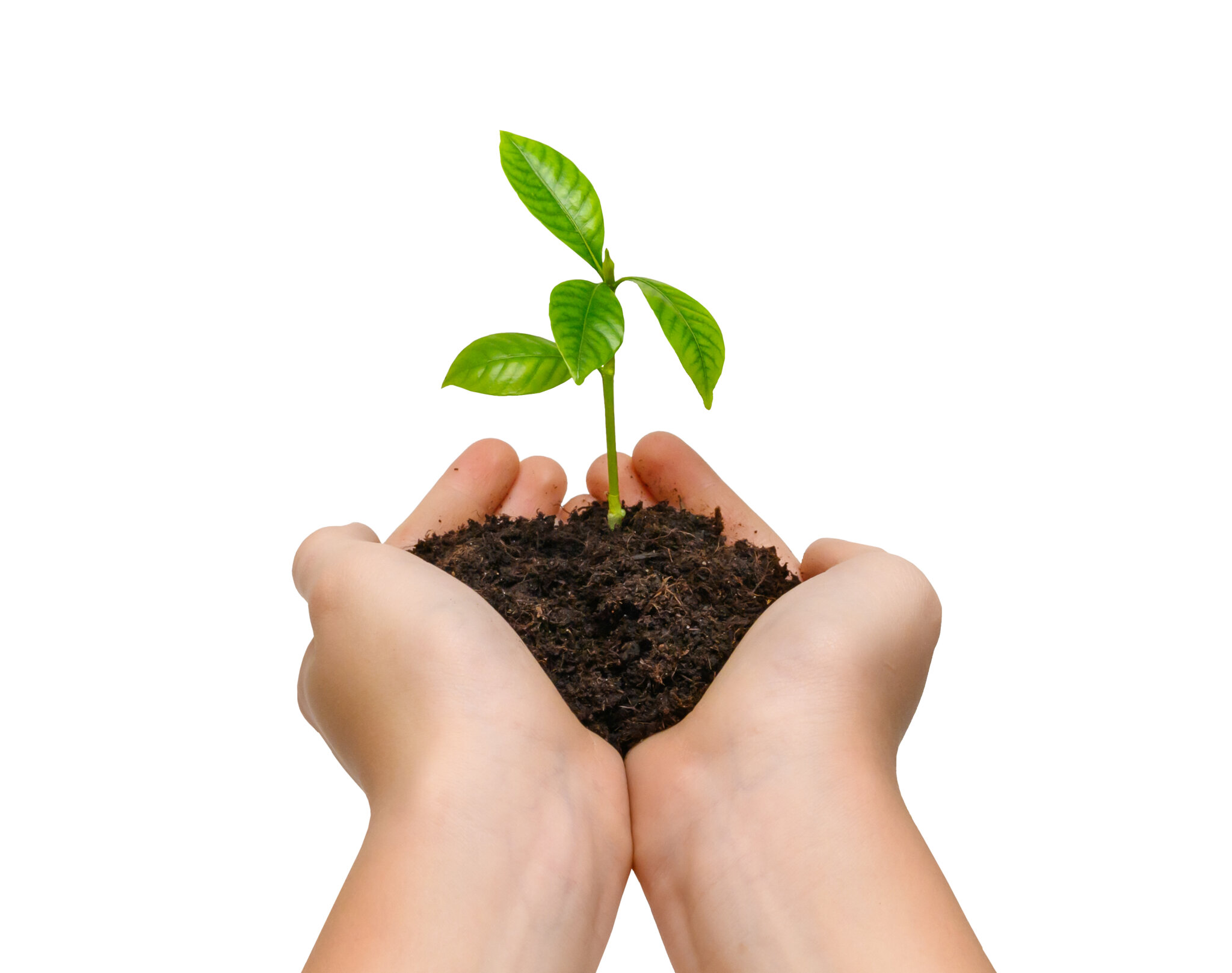 Environmental Impact and Sustainability Report 2025 - Netcall